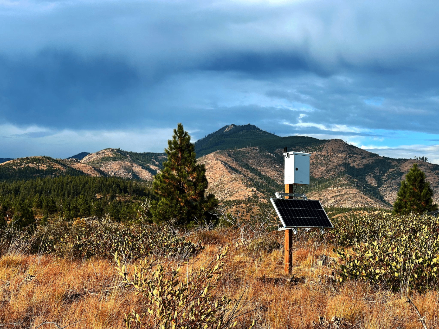 Sunsight - Real-Time Solar Irradiance Data & Forecasting
